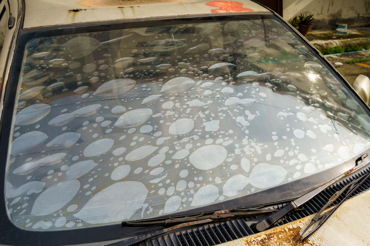 Why is My Window Tint Peeling? – Turbo Tint